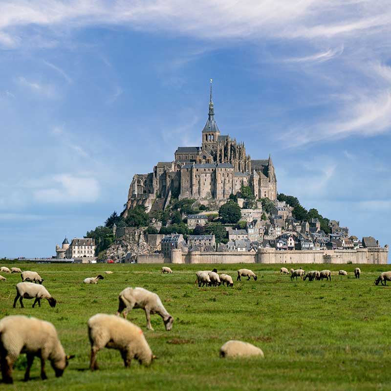 Cheese Tour of Normandy, France | Venissimo Cheese